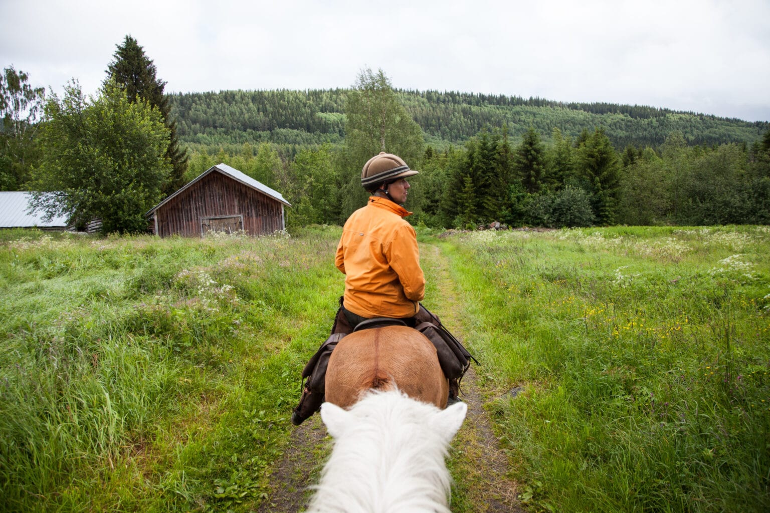 There is only one Koli | Koli