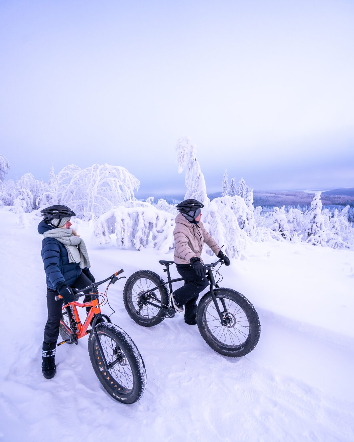 Juuka -Juurtuu sydämiin | Koli