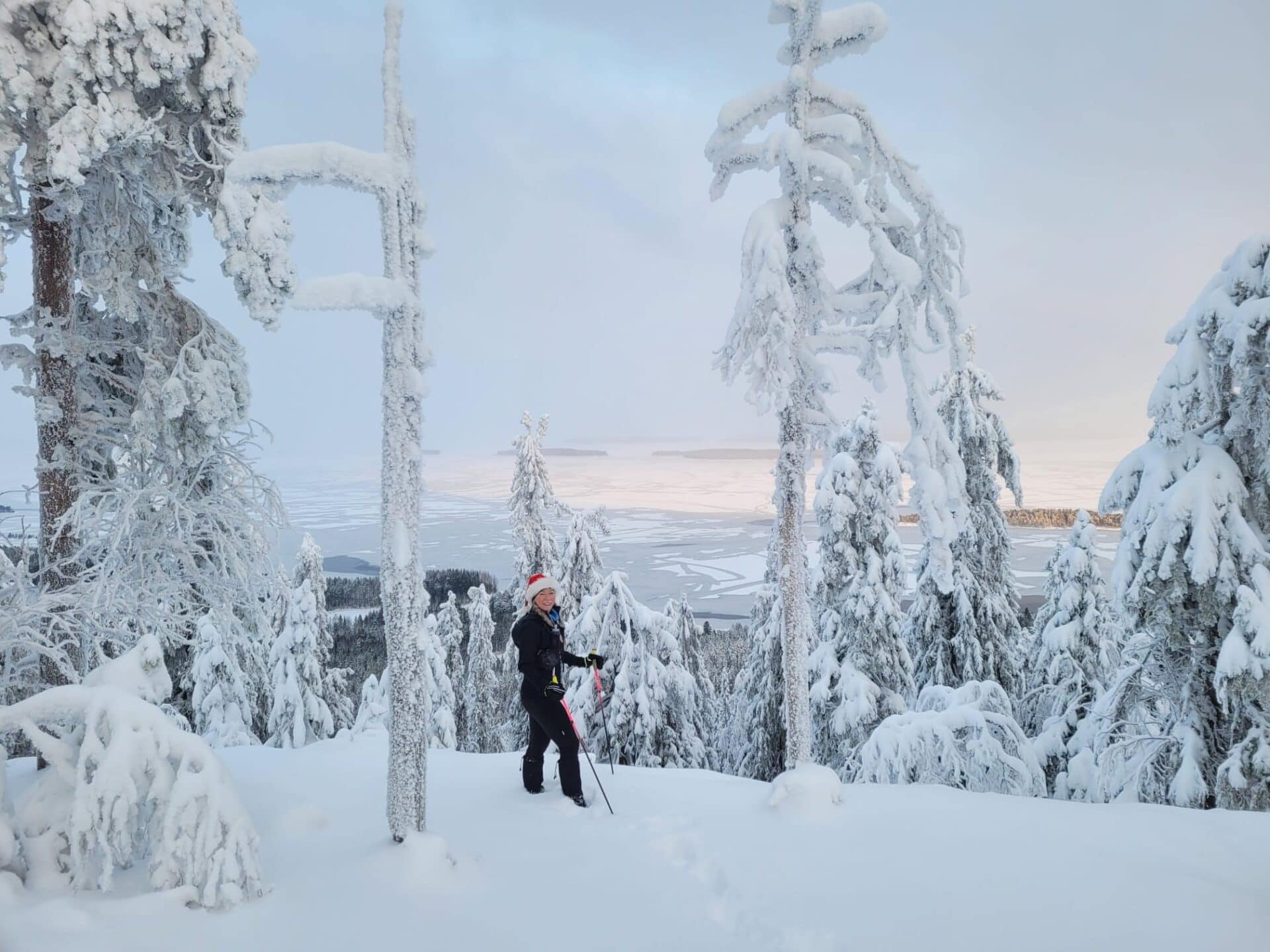 Laskettelu | Koli